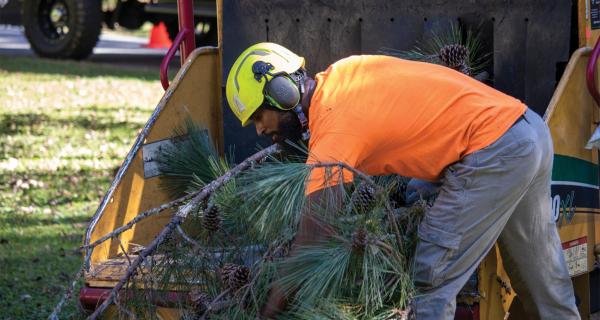 Featured Forestry Professions | NBjobs.ca